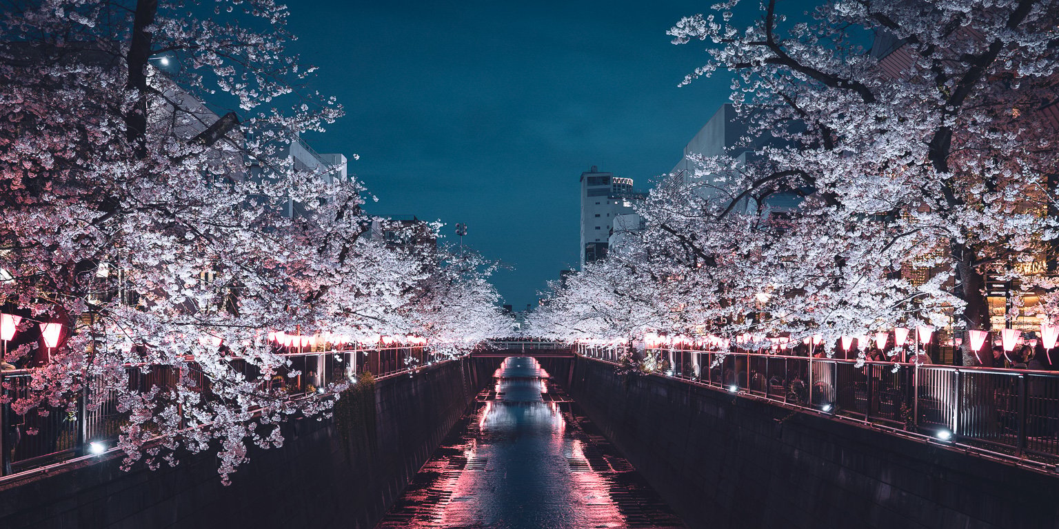 Tokyo Unveiled - Photography Guide to Tokyo