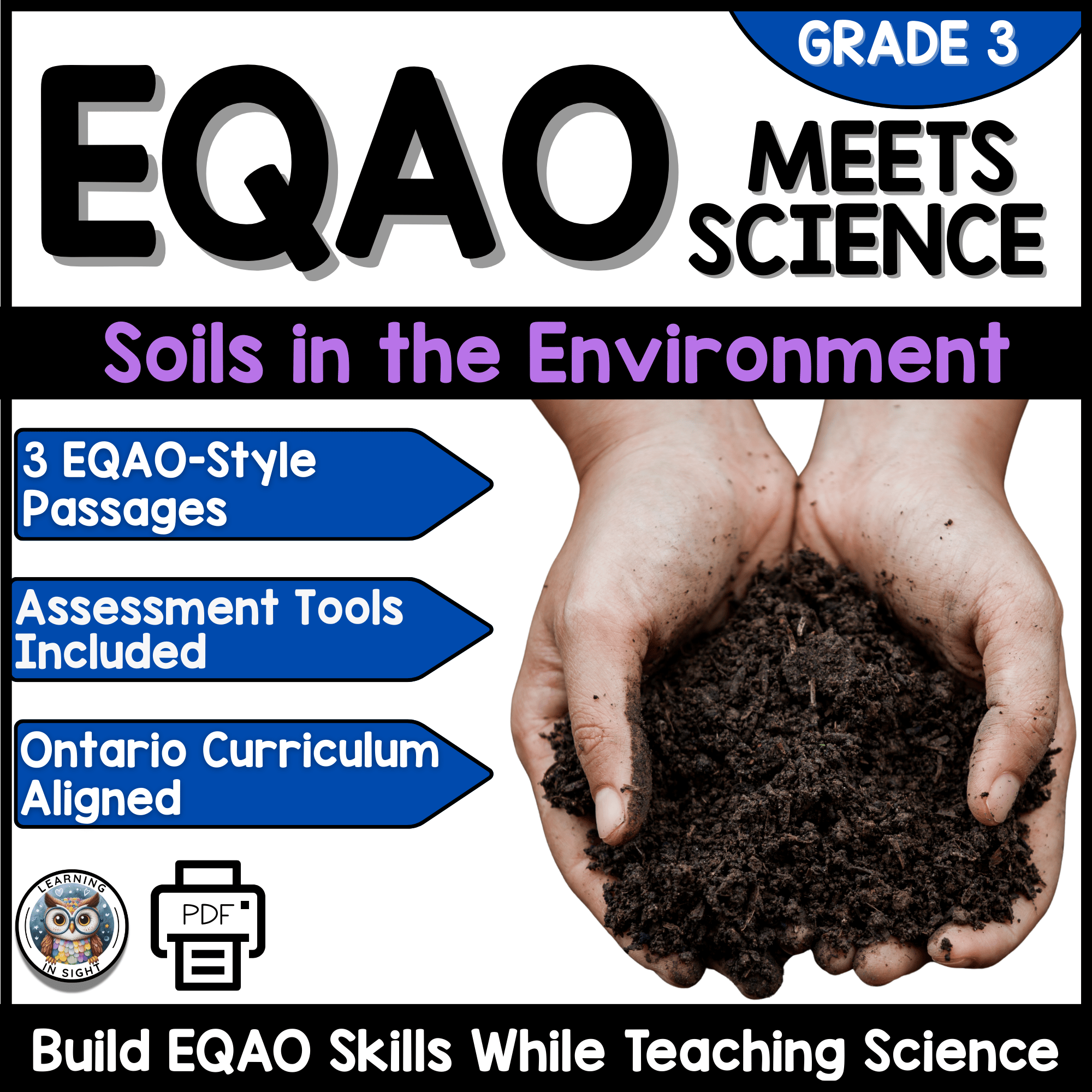 Préparation OQRE/EQAO – Lecture et écriture pour la 3e année ...