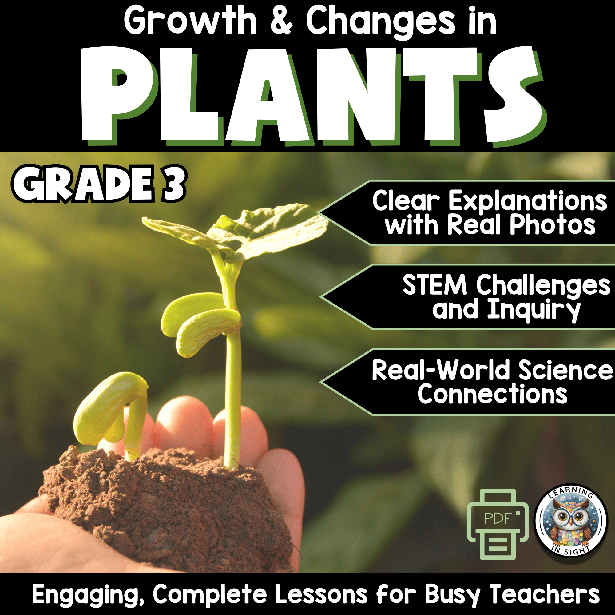 Grade 3 Growth & Changes in Plants | Hands-On Science, Inquiry & STEM ...