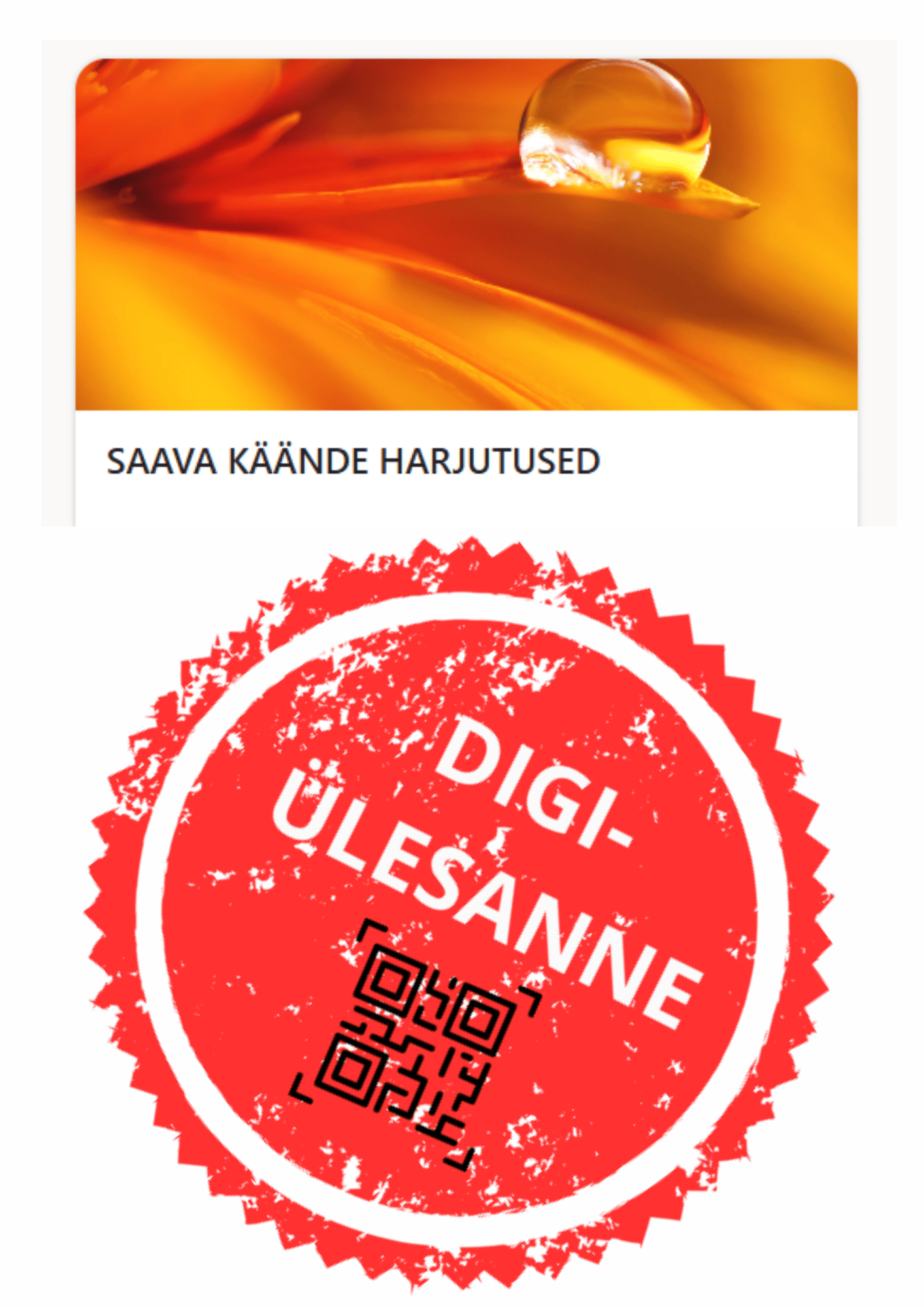 Saava käände digiülesanne – 20 küsimust, 200 punkti, kestvus 30 min ...