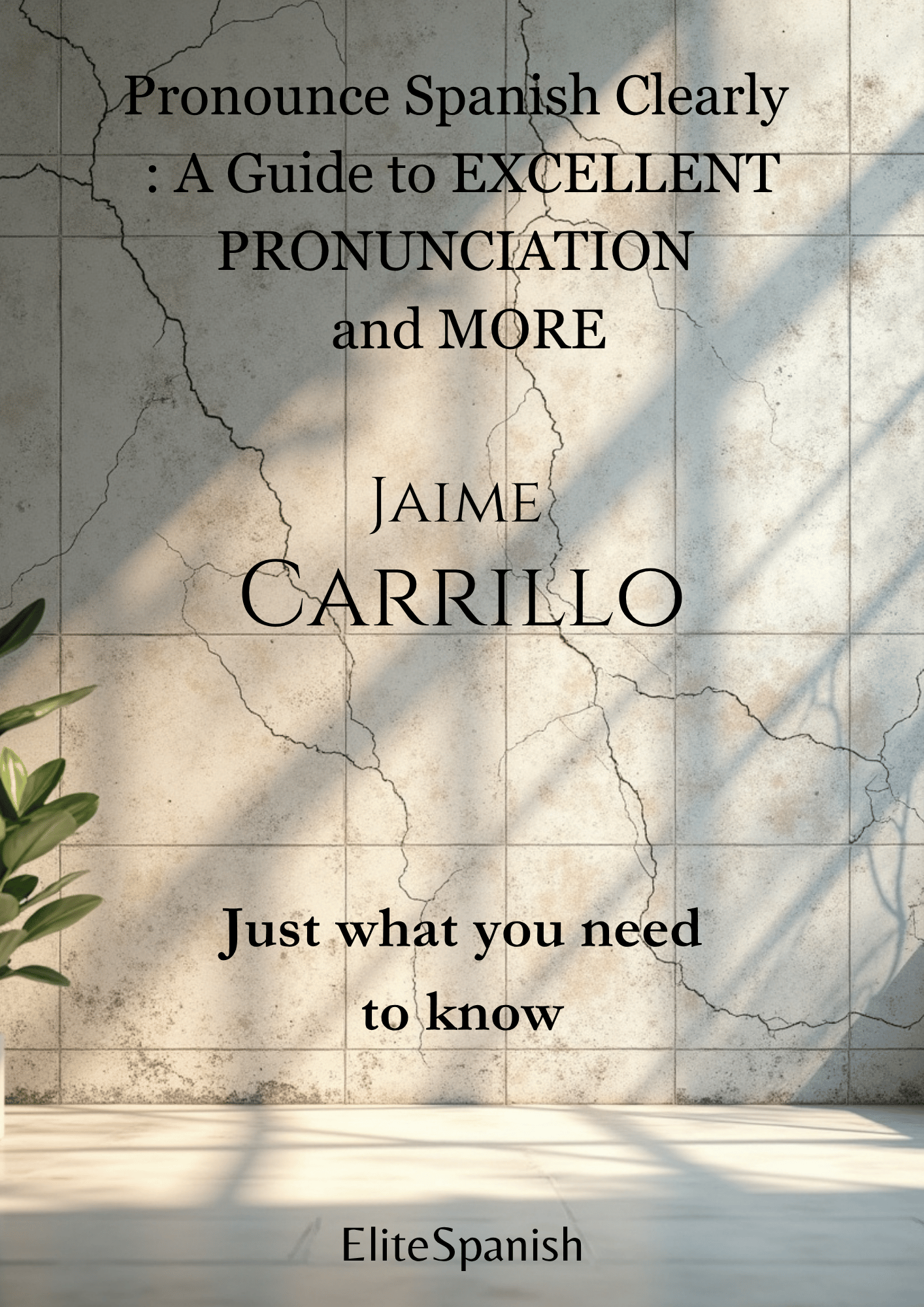 Pronounce Spanish Clearly : A Guide to Excellent Pronunciation and More ...