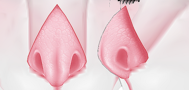 Alirras Arts - IMVU Textures - Payhip