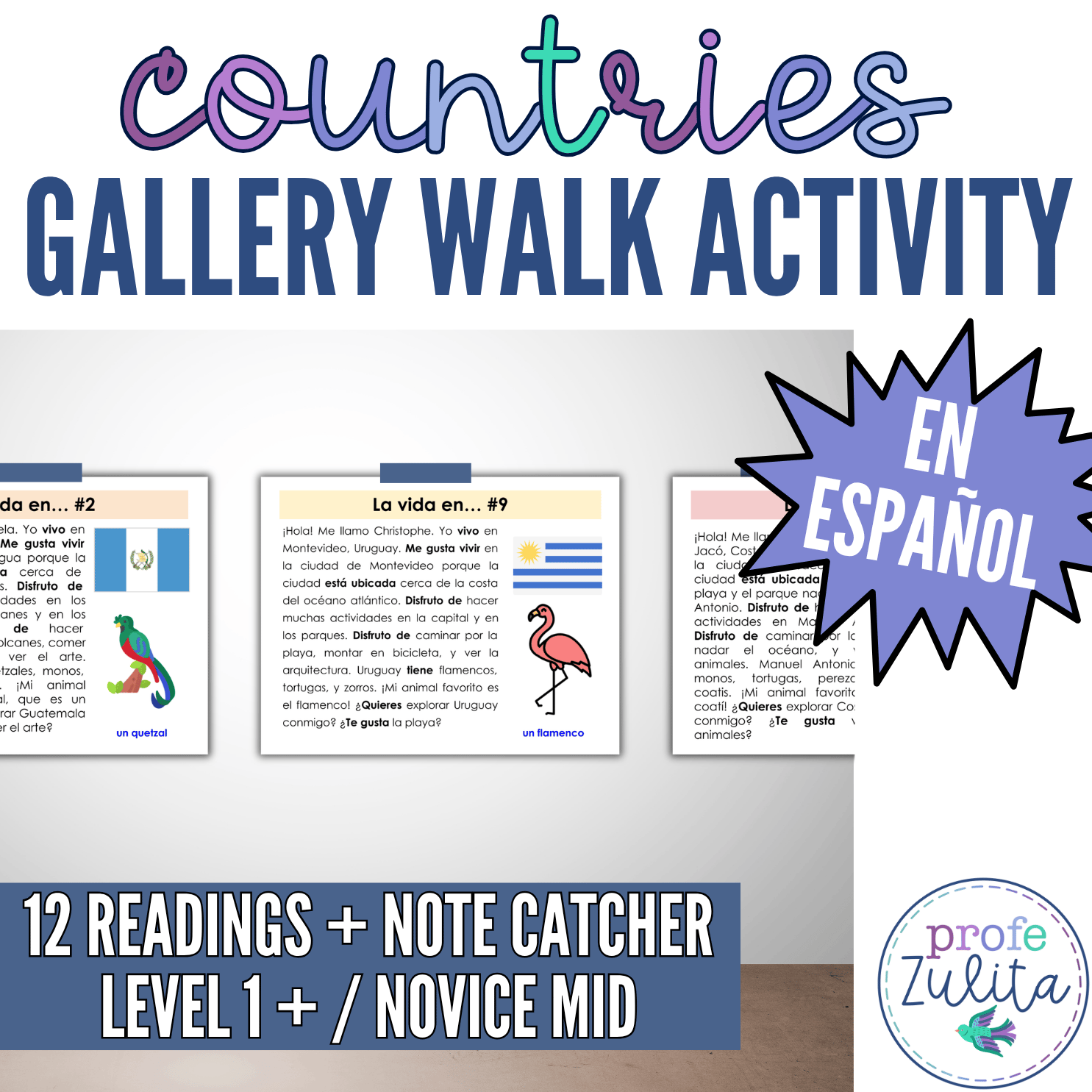 12 Spanish Speaking Country Readings - Activity & Pastime Gallery Walk ...