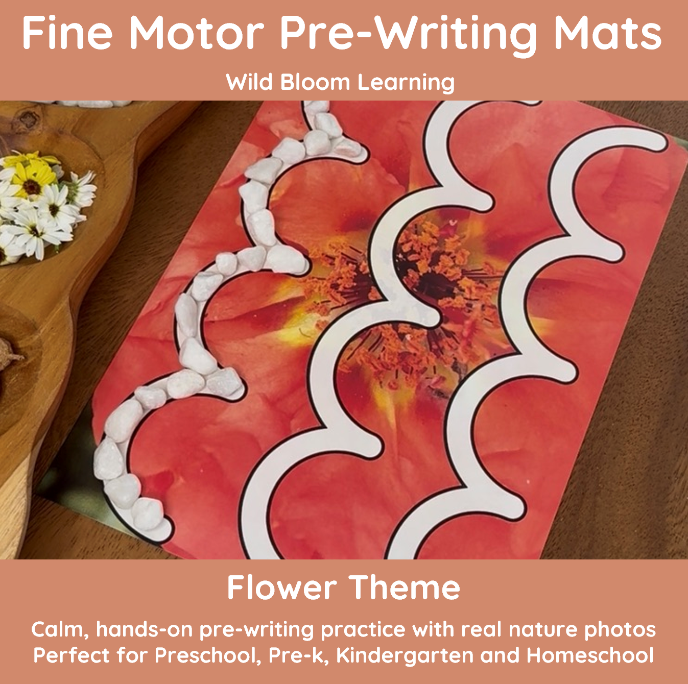 Pre-Writing Fine Motor Mats | Handwriting Readiness | Flower Theme - Payhip