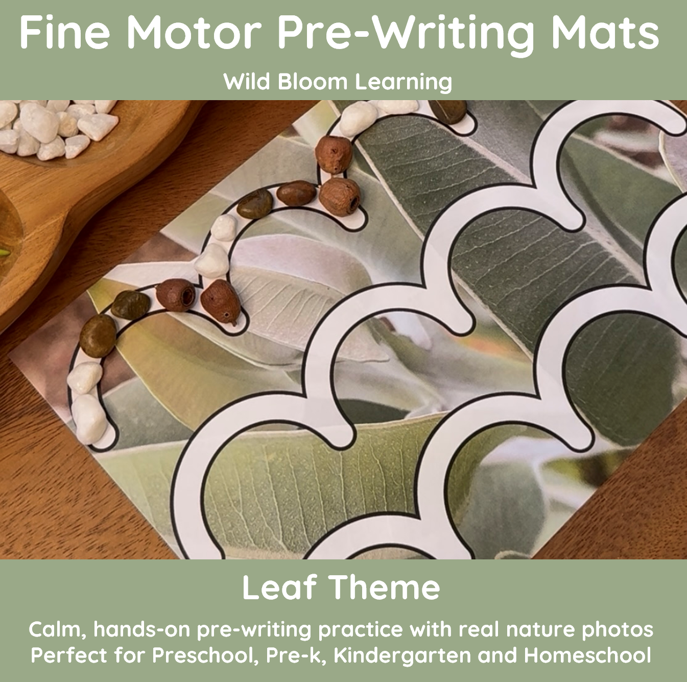 Pre-Writing Fine Motor Mats | Handwriting Readiness | Leaf Theme - Payhip