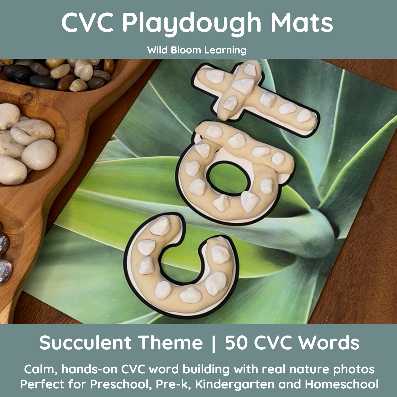 CVC Playdough Mats | Short Vowel Word Building, Reading & Writing | 50 ...