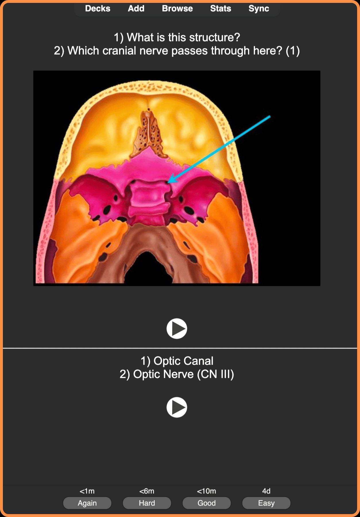 MedStudent OS 2.0 - Anatomy Spot Flashcards
