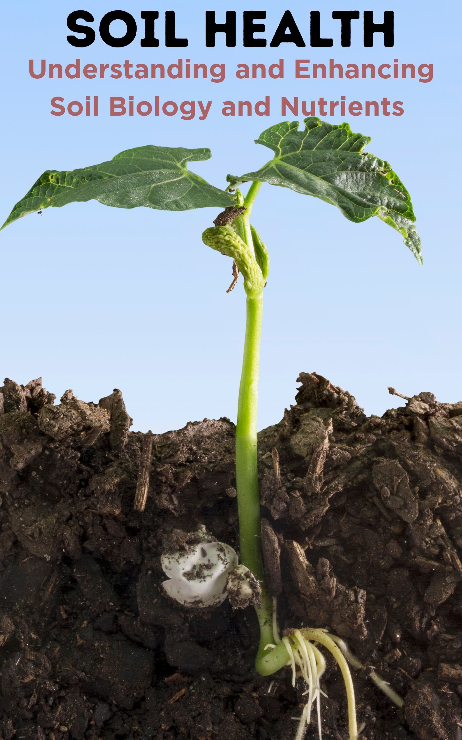 Soil Health : Understanding and Enhancing Soil Biology and Nutrients ...