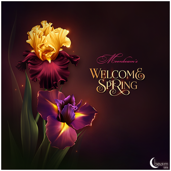 Moonbeam Art - Payhip