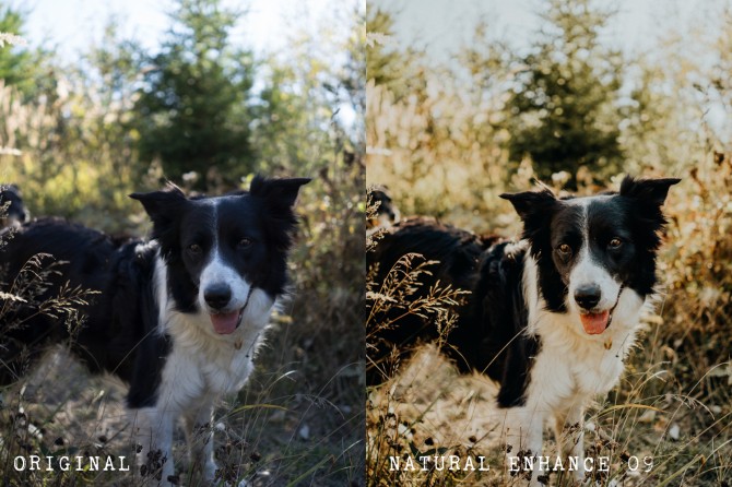 LR Pack 01 - Natural Enhance by beastie-dogs.com (for Adobe Lightroom ...