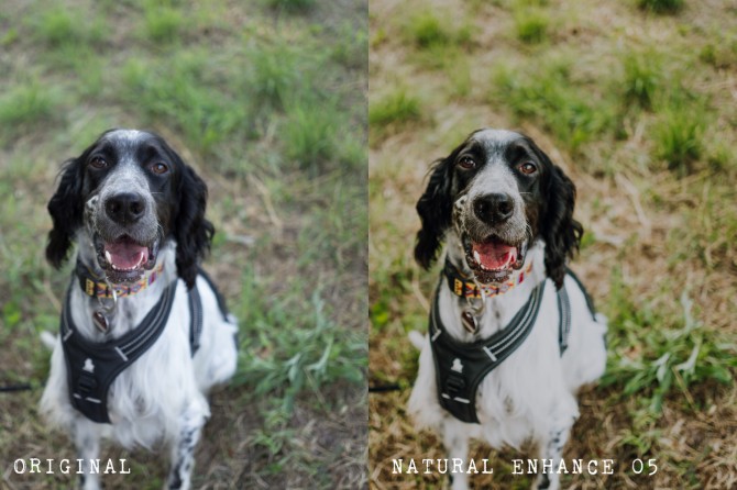 LR Pack 01 - Natural Enhance by beastie-dogs.com (for Adobe Lightroom ...